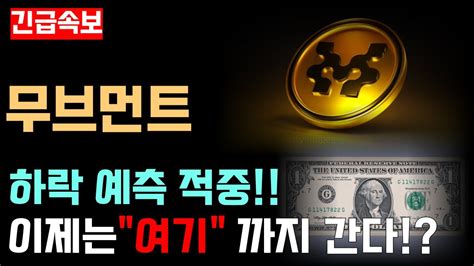 무브먼트코인 Move 알트코인 폭락 그런데 개인의 매수세는 증가 무브먼트분석 무브먼트코인전망 Youtube