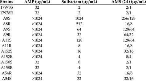 Antibiotic Susceptibility Of Amp Sulbactam And Ams Download Scientific Diagram