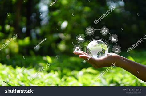 Net Zero Carbon Neutral Concept Net Stock Photo 2255998749 Shutterstock