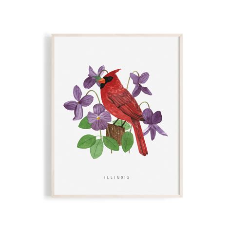 Illinois Cardinal Art Print Watercolor State Bird And Violet Flower Etsy