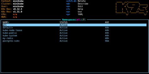 How To Install K9s On Ubuntu A Step By Step Guide Dev Community
