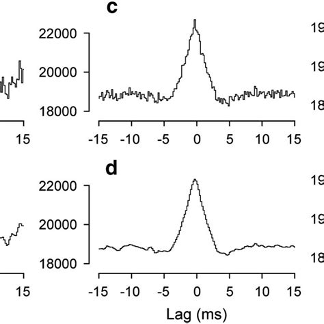 Examples Of Cross Correlation Histogram Peaks From The Cat Experiments