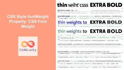 CSS Style fontSize Property: CSS Font Size - CodeLucky