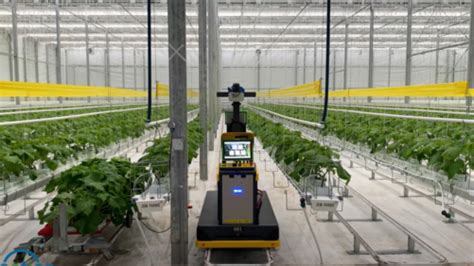 Autonomous Robot Does The Greenhouse Scouting For You Greenhouse Grower Autonomous Robot Does The Greenhouse Scouting For You Greenhouse Grower