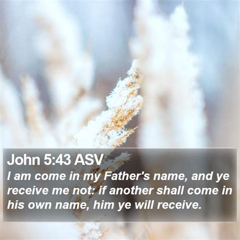 John 543 Asv Bible Verse Pictures