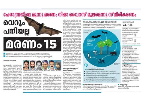 Nipah Finalppt Epidemiology Managemant And Prevention Ppt