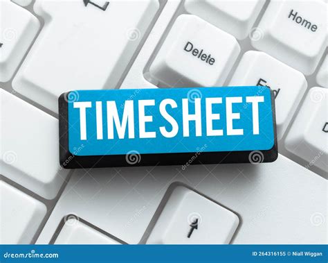Text Caption Presenting Timesheet Internet Concept Graphical Representation Of Period Time On