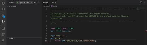 debug flow · issue 18652 · microsoft vscode python · github