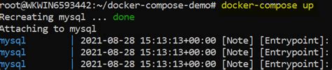 Taking Advantage Of The Docker Compose Environment Variables