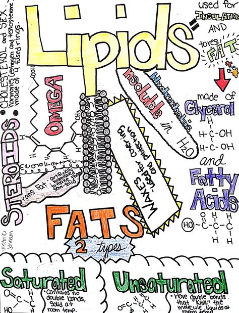 Macromolecules Doodle Notes At Alicia Faucett Blog