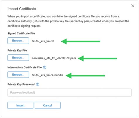 FileMaker SSL Certificates In Depth Guide FileMaker Insights