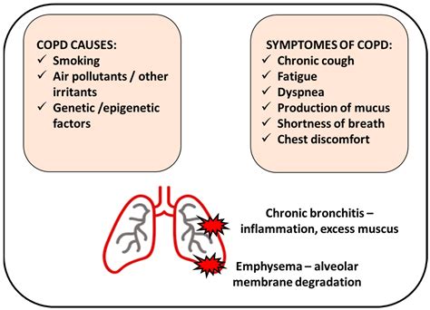 Chronic Bronchitis Patient