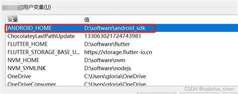 VSCode 安装Flutter 教程 vscode flutter CSDN博客