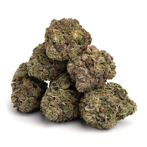 Jet Fuel Express Buds