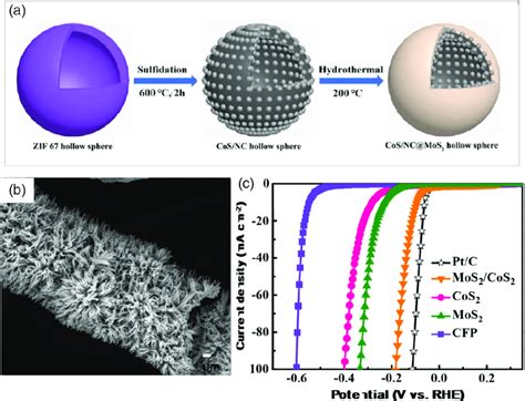 A Schematic Depiction Of The Fabrication Process Of Cos Nc Mos2 Hollow Download Scientific