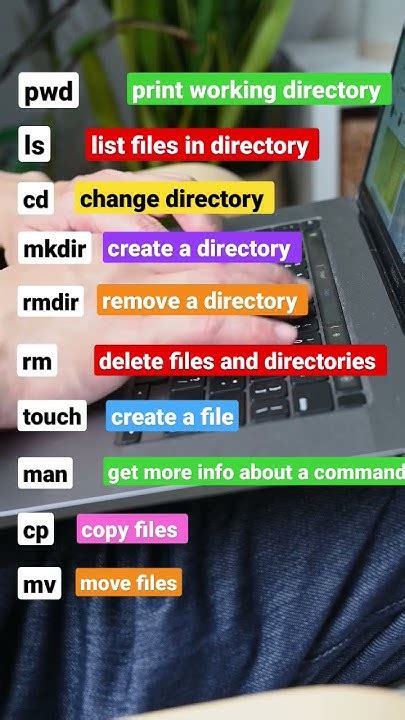 Basic Linux Commands Every Devops Engineer Should Know Shorts