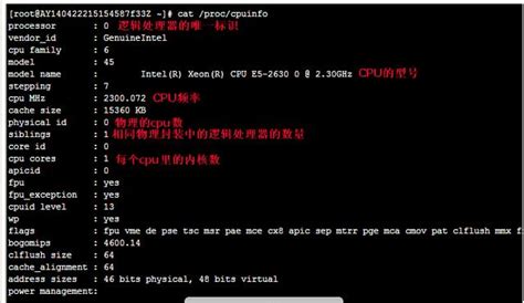 vps性能測試：cpu物理個數、內核、超線程、多核心 每日頭條