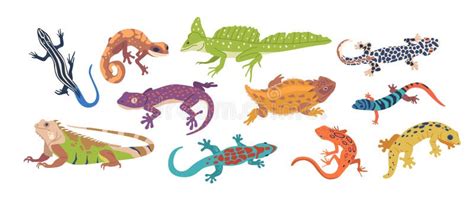 Exotic Lizards And Varans Captivating Reptiles Known For Their Unique