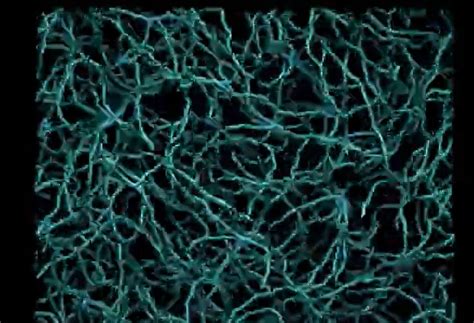 Scientists Unveil Innovative Machine Learning Technique For Modeling