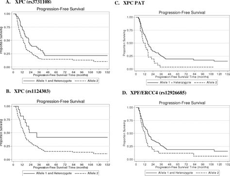 Xeroderma Pigmentosum Complementation Group C Single‐nucleotide