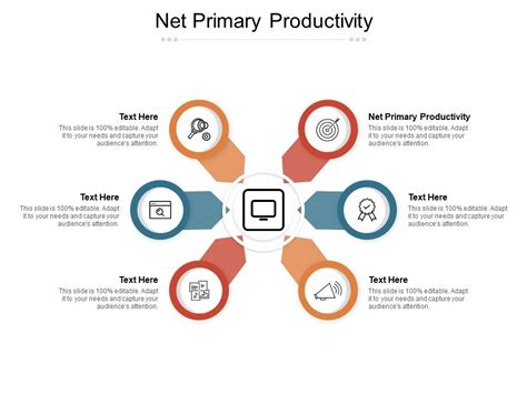 Net Primary Productivity Ppt Powerpoint Presentation Inspiration Layout Cpb Pdf