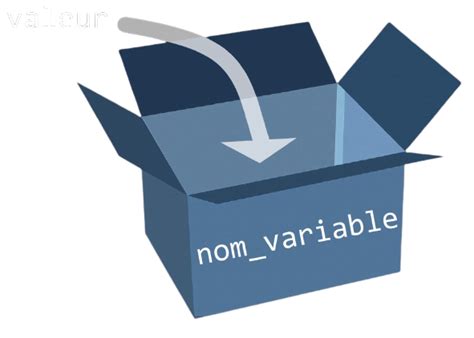 Variables Et Affectation Ressources De 1ère Nsi