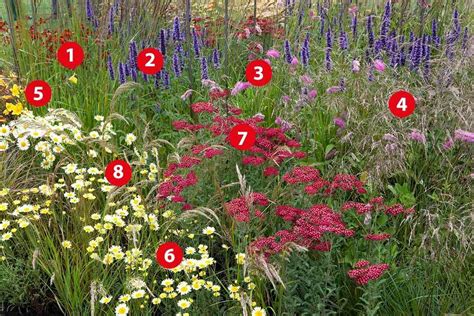 Matrix Planting Plant Ids Artofit