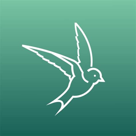 Lotek By Lotek
