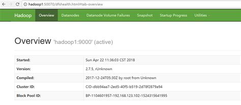 Spark学习之路 （五）spark伪分布式安装 扎心了，老铁 博客园