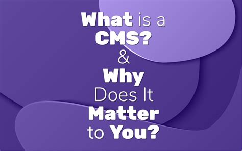 What Is A Cms And Why Does It Matter To You 3 Cats Labs Creative