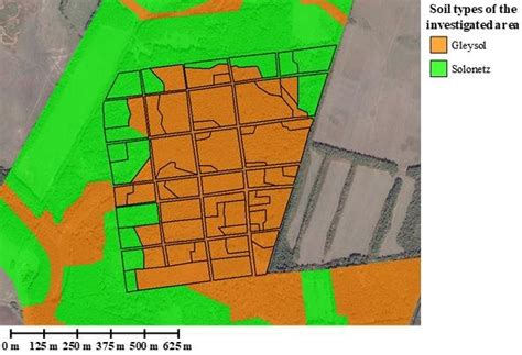 Soil Types Of The Investigated Area Download Scientific Diagram