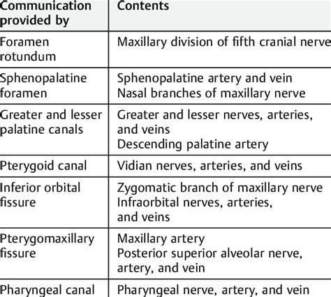 Infratemporal Fossa Boundaries