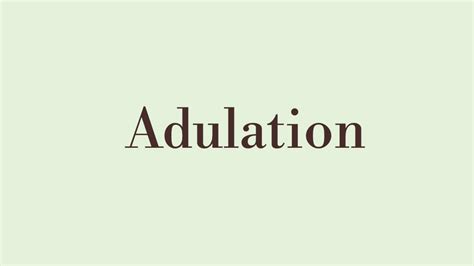Word Of The Day Adulation