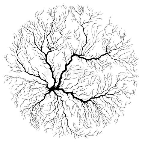 Abstract Circle Shape Illustration Of Tree Roots Stock Vector