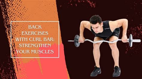 Back Exercises With Curl Bar Strengthen Your Muscles