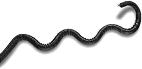 New Platforms And Devices In Colonoscopy Gastroenterology Clinics