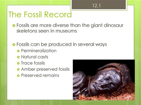 Principles Populations The History Of Life Ppt Download