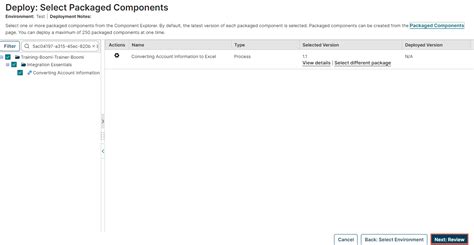 Article How To Package And Deploy Boomi Community