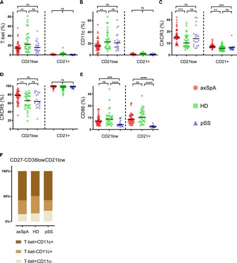 Phenotypical Characteristics Of Cd27 Cd38 Low Cd21 Low B Cells In Download Scientific