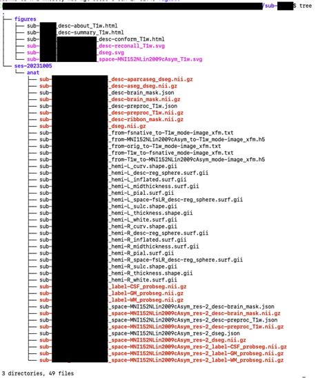 Longitudinal Processing With SMRIPrep And QSIPrep Bids Neurostars