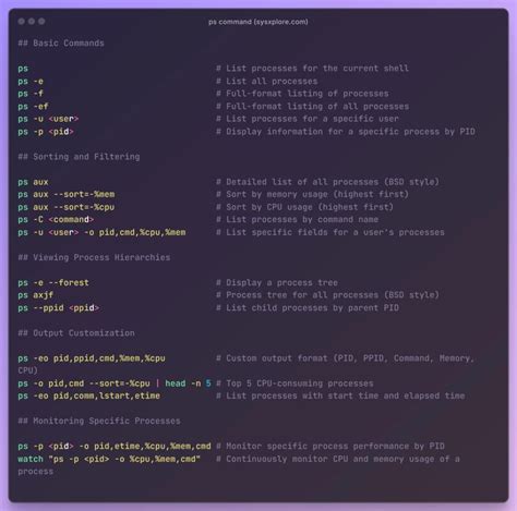 Check Processes With Ps Command In Linux Stephen Graham