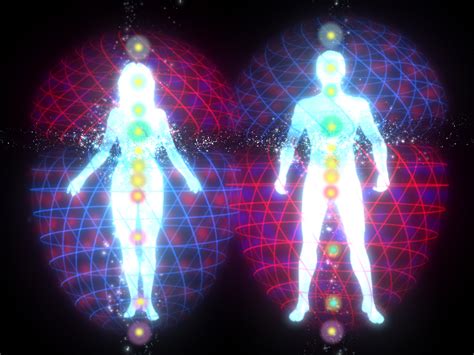 Double Torus Animation Homo Solaris