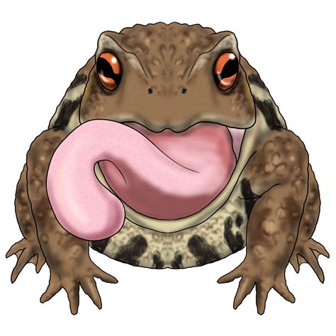 Ōgama The Giant Toad Yokai Of Japanese Folklore Manekineko Games