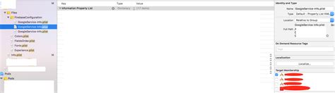 Ios Firebase With Multiple Targets And Multiple Environments Stack Overflow