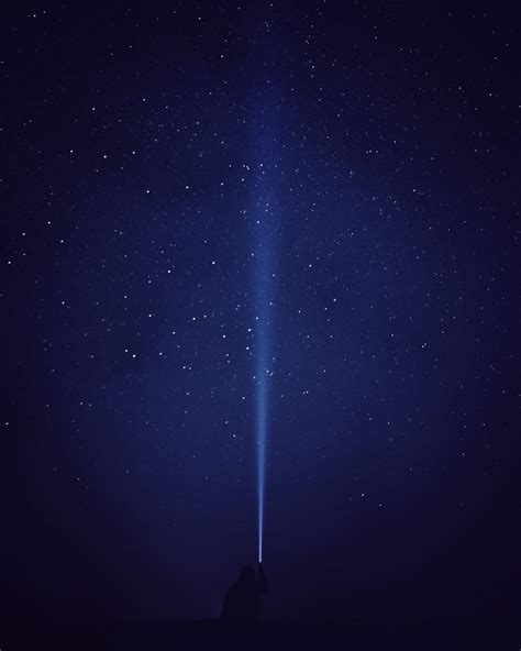 The Tree Of Life Symbol In Judaism A Sacred And Meaningful Representation Meaningful Moon