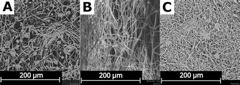 Structures Of Polycaprolactone Substrates From Different Solvents A Download Scientific
