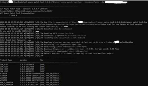 using the vmware cloud foundation vcf async patch tool offline and
