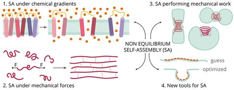 Examples Of Diffusive Processes Claudia Flandoli