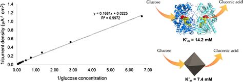 lineweaver burk plot of calibration data presented in fig 2e