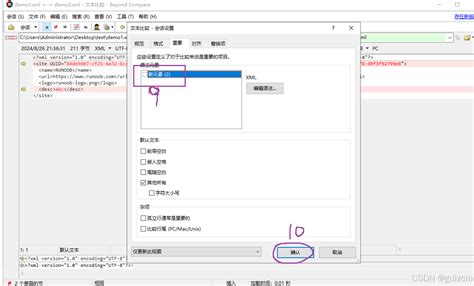 Beyond Compare忽略特定格式文本 忽略匹配正则表达式 Beyond Compare忽略格式差异 Csdn博客